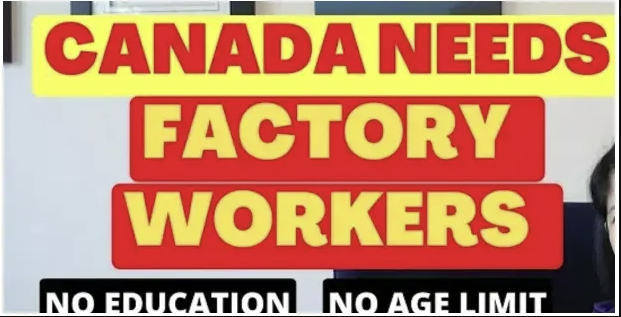 Factory Workers Urgently Needed In Canada – APPLY! - Kanyi Daily Jobs